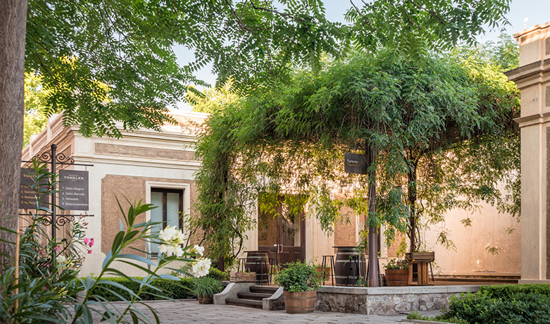 Bodega Los Toneles inaugura un nuevo espacio de arte | Caminos del Vino.com